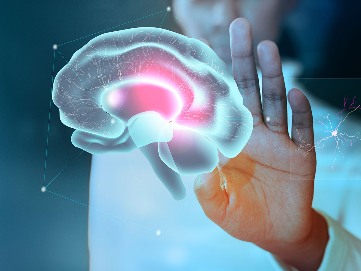 ¿Qué le sucede a tu cerebro cuando hablas inglés? | KOE México